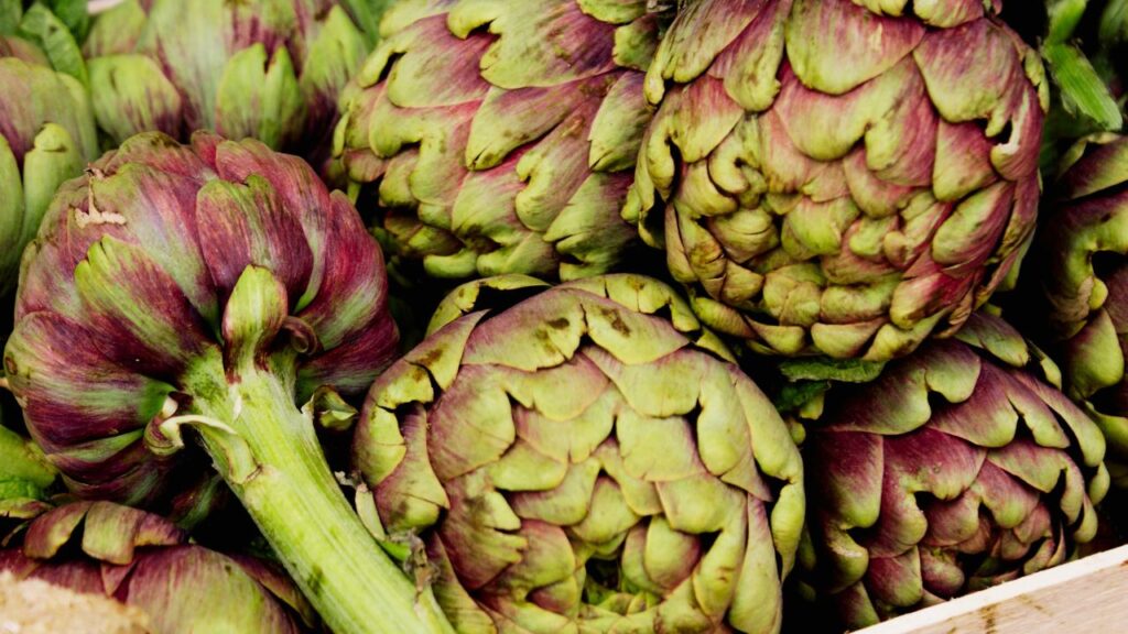 Alcachofra: benefícios, usos medicinais e como utilizar no dia a dia ...