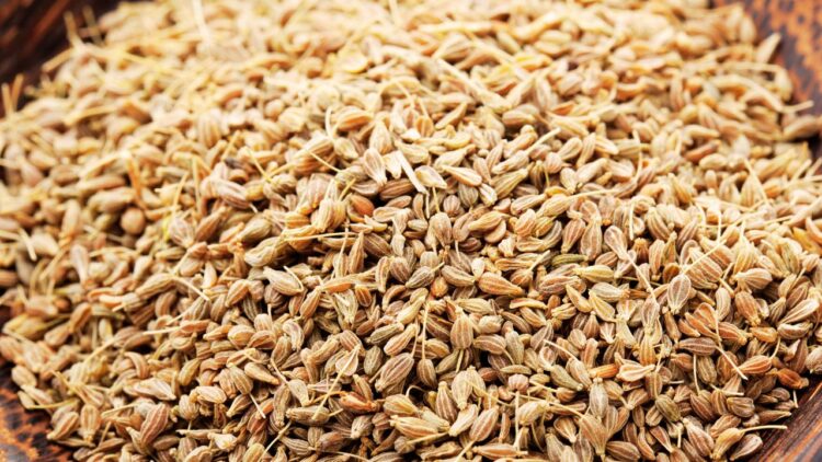 Erva-doce: benefícios, usos medicinais e como utilizar no dia a dia ...